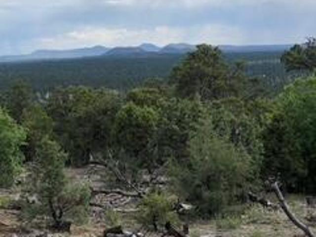 Cienfuegos Trail