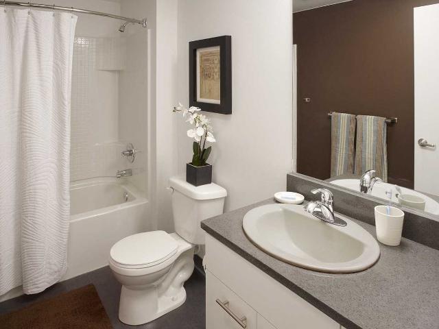 Circa Green Lake Apartments 1 Bedroom Apartment for Rent at 6900 E Green Lake Way N, Seattle, WA 98115 Green Lake
