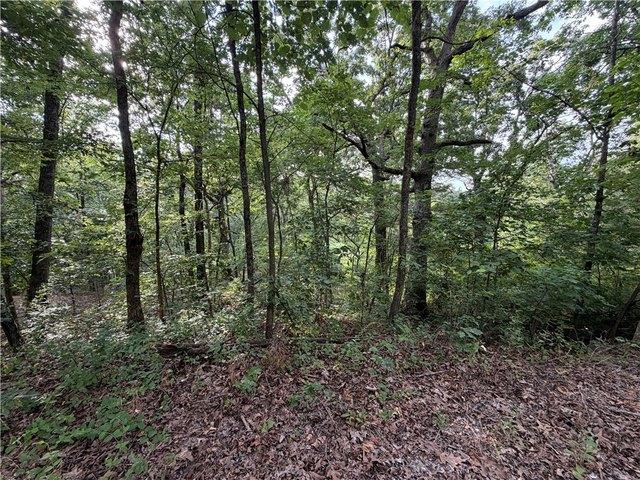Circle Dr Lot 38, Huntsville, AR 72740
