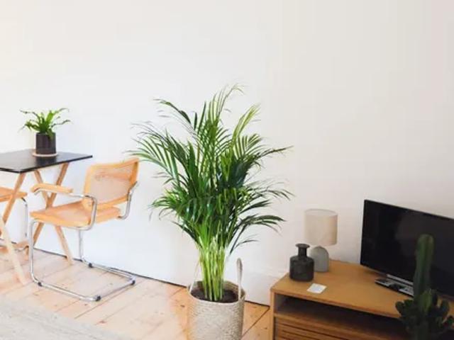 City of Edinburgh, EH7 5ET, United Kingdom | 1 bed townhouse for rent #95890308 | Rentberry