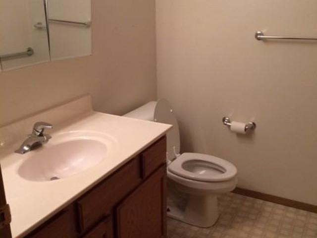 City Centre 1 Bedroom Apartment for Rent at 109 East Luverne Street, Luverne, MN 56156
