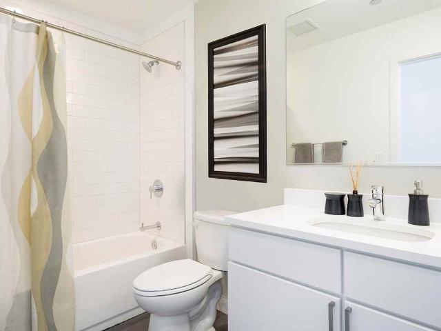 City Hyde Park 2 Bedroom Apartment for Rent at 5105 S Harper Ave, Chicago, IL 60615 Hyde Park