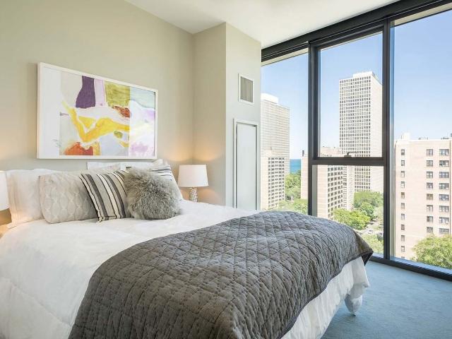 City Hyde Park 3 Bedroom Apartment for Rent at 5105 S Harper Ave, Chicago, IL 60615 Hyde Park