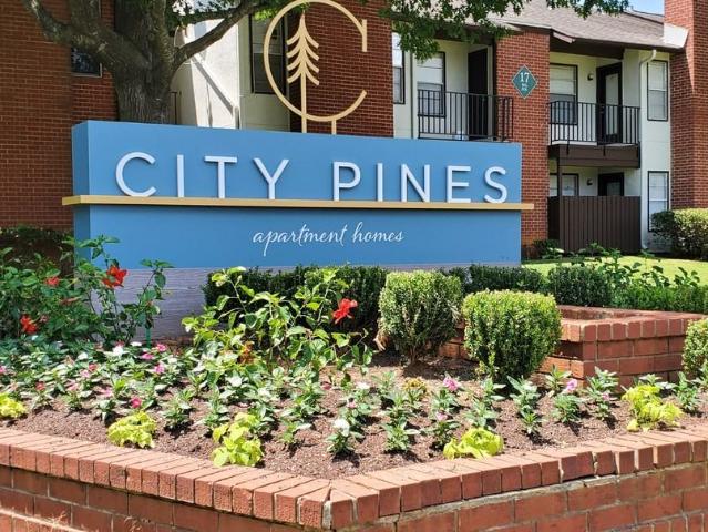 City Pines Apartment Homes 1 Bedroom Apartment for Rent at 2019 Toler Rd, Longview, TX 75605