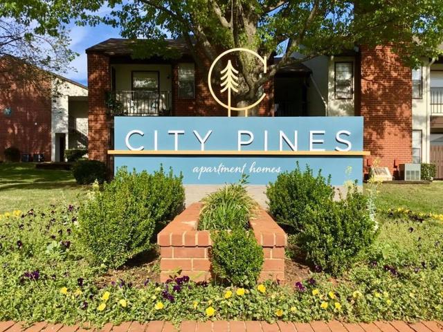 City Pines Apartment Homes 1 Bedroom Apartment for Rent at 2019 Toler Rd, Longview, TX 75605