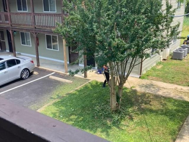 City Studio Apartments 1 Bedroom Apartment for Rent at 15910 Warwick Blvd, Newport News, VA 23608 Lee Hall