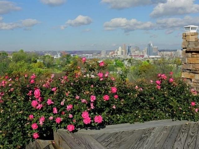 City View Apartments 2 Bedroom Apartment for Rent at 95 Kentucky Dr, Newport, KY 41071