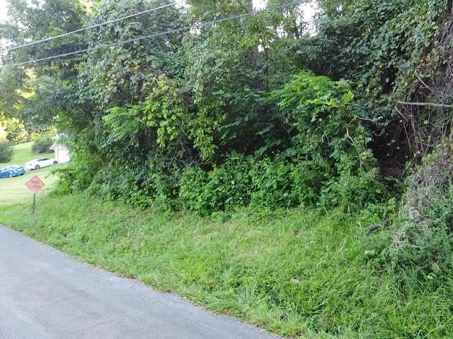 City View Drive, Newport, TN 37821