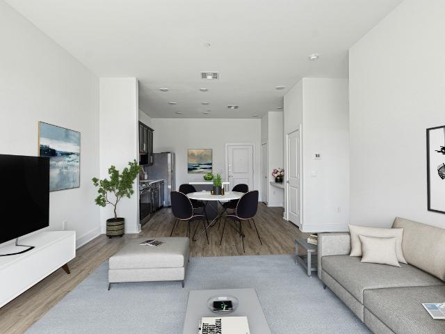 City View Lofts 1 Bedroom Apartment for Rent at 15 N Chenevert St, Houston, TX 77002 Downtown Houston