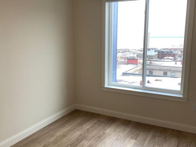 CityView Flats 2 Bedroom Apartment for Rent at 333 N 1st Ave W, Duluth, MN 55806 Downtown Duluth
