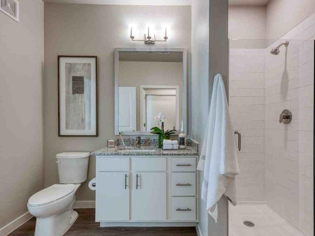 Citadel at Lookout 2 Bedroom Apartment for Rent at 15453 Lookout Rd, Selma, TX 78154