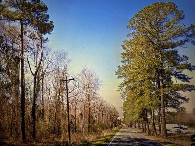 Citadel Rd, Orangeburg, SC 29118