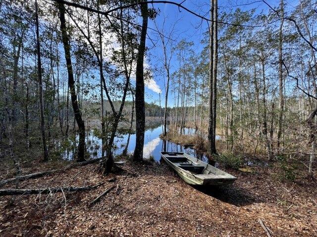 Citronelle AL 36522 LS92806222