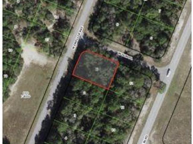 Citrus Springs FL 34433 LS101011876