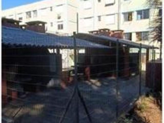 CJM 505 Apto 612481037 77