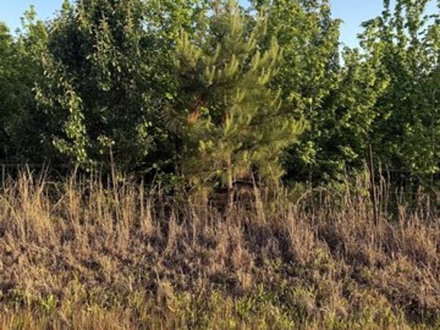 County Road 106, Florence, AL 35631