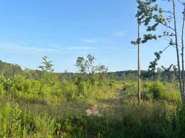 Co Rd 4112, Sallis, MS 39160