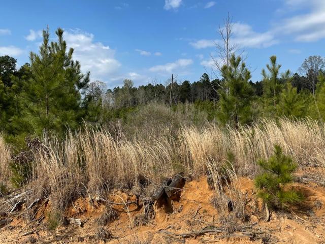 Co Rd 419, Calhoun City, MS 38916