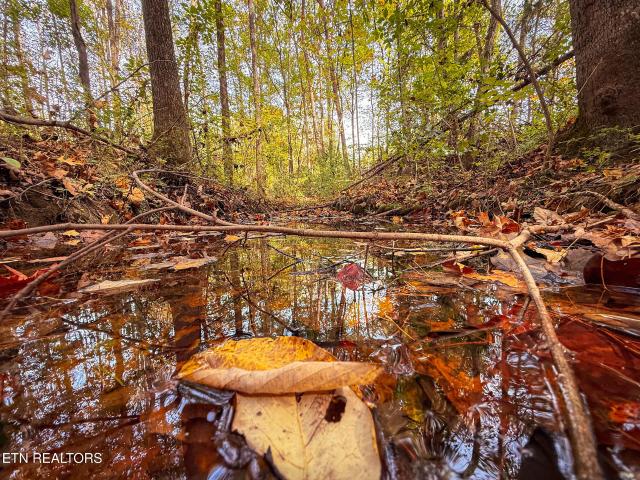 Co Rd 475, Etowah, TN 37331