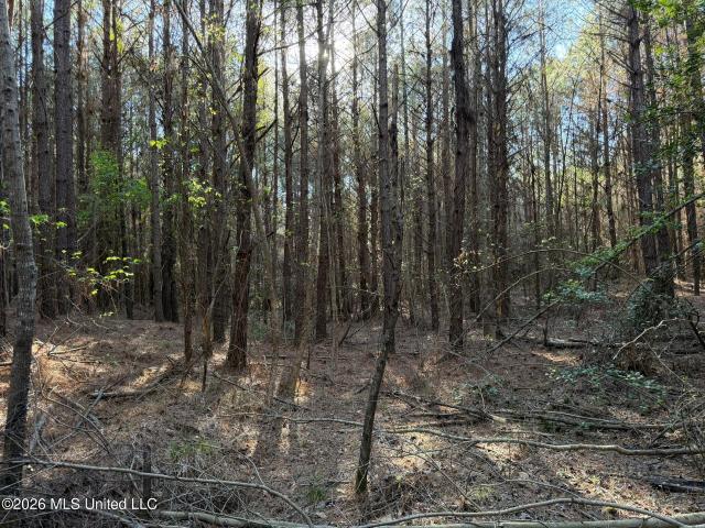 Co Rd 5005, Kosciusko, MS 39090