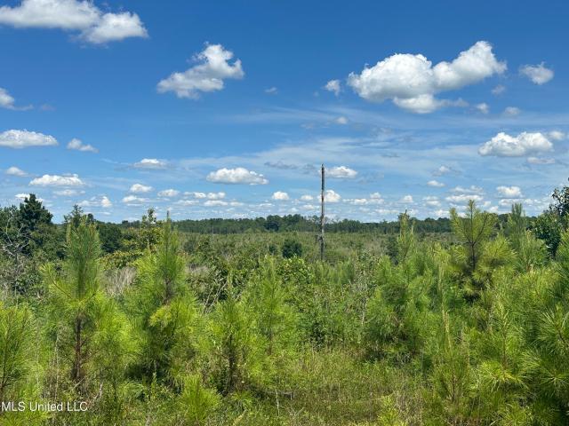 Co Rd 75, Cruger, MS 38924
