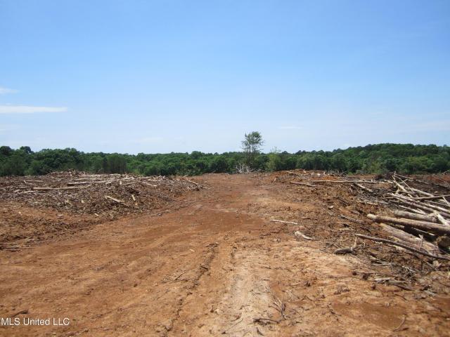 Co Rd 7, Myrtle, MS 38650