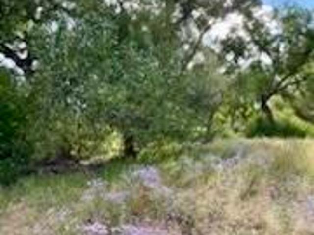 Co Rd 120