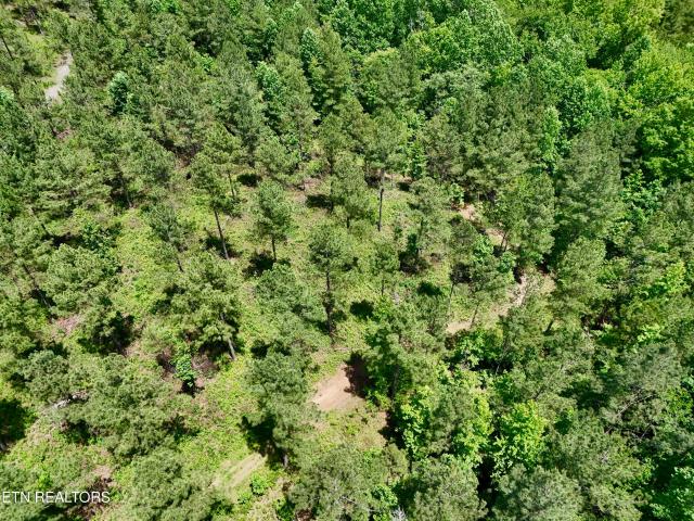 Co Rd 214, Niota, TN 37826