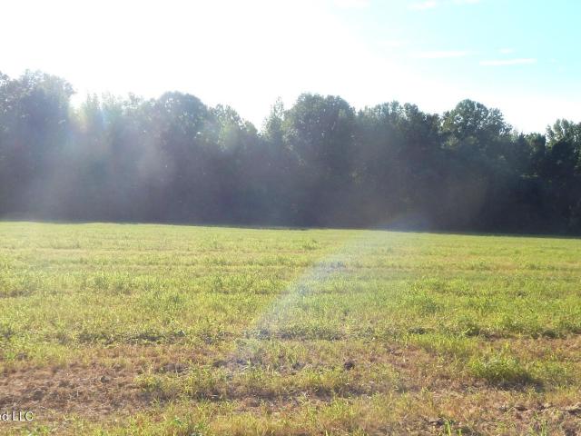 Co Rd 247, Bruce, MS 38915