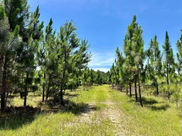 Co Rd # 325, Troy, AL 36079