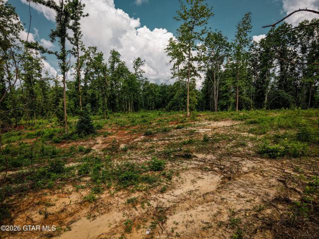 Co Rd 3485, New Site, MS 38859