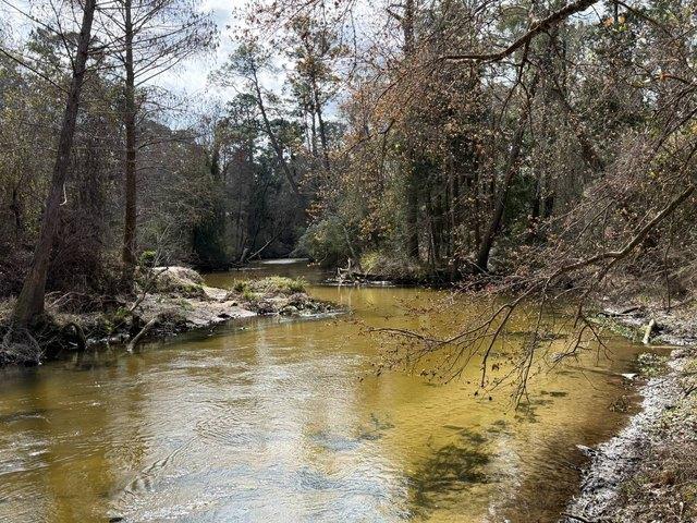 Comalander Ln, Fairhope, AL 36532