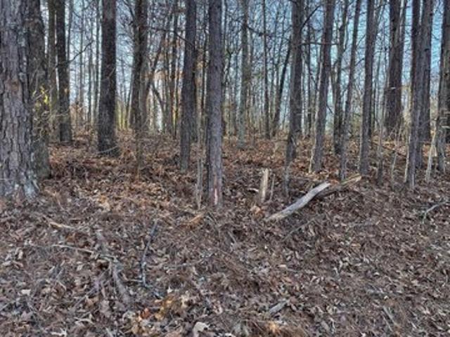 Comanche Trl Lot 0, Anniston, AL 36206