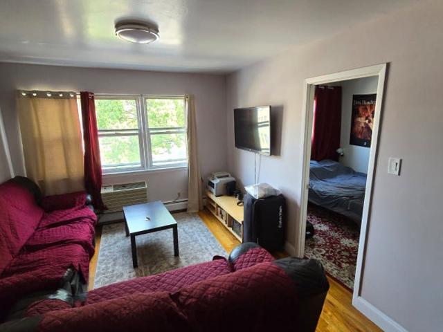 Combined Bedroom + Living Room in Astoria