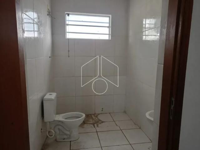Comercial GalpãoBarracão em Marília