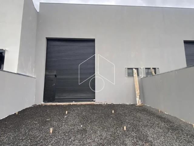 Comercial GalpãoBarracão em Marília