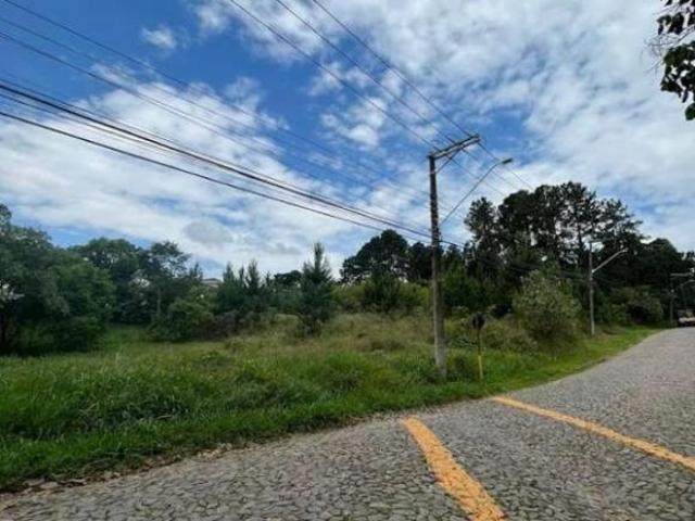 Comercial Paisagem Renoir