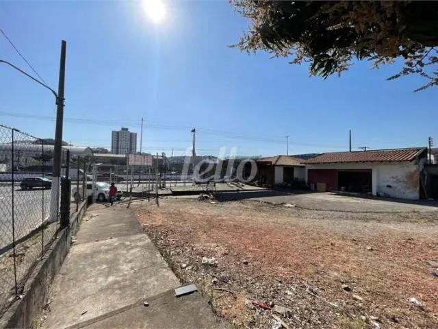Comercial para alugar no a Vila Carrão