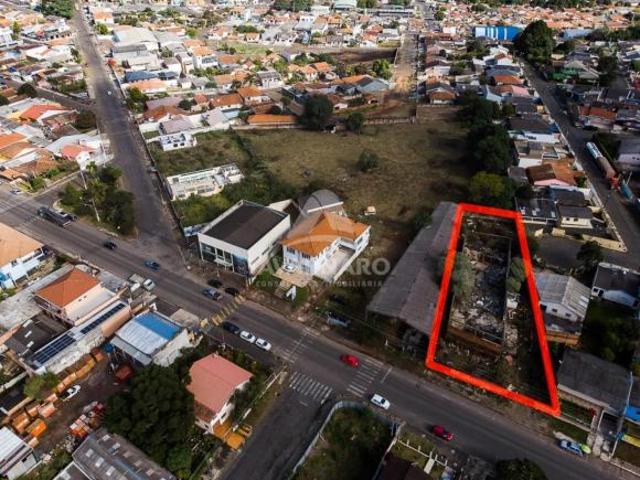 Comercial Terreno em Ponta Grossa