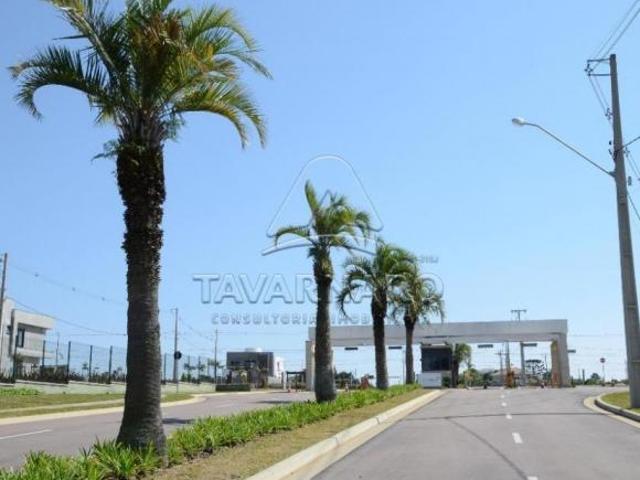 Comercial Terreno em Ponta Grossa