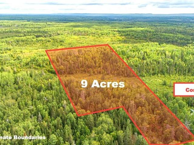 Comet Rd, Embarrass, MN 55732