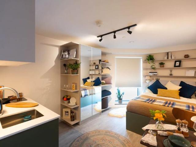 Comfort Studio