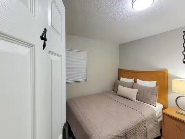 Comfortable & newly renovated Gainesville House with Backyard.