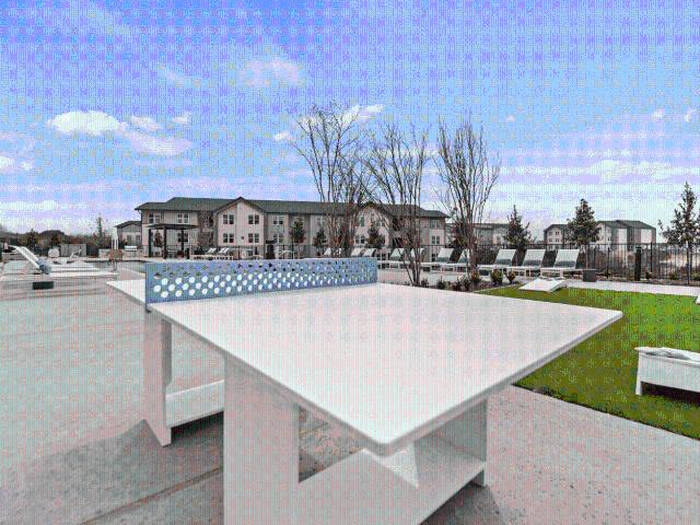 Comfortable, Spacious Apartments for Rent