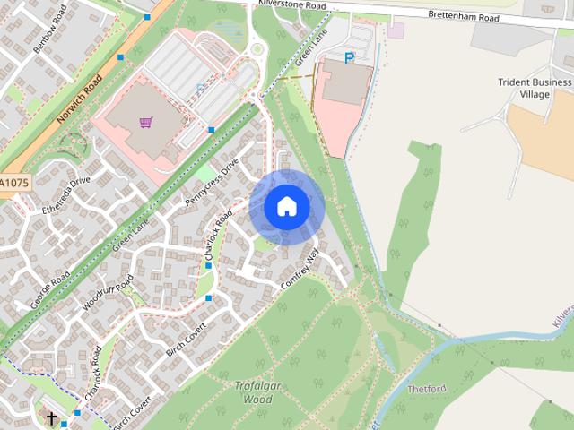Comfrey Way, Thetford, IP24