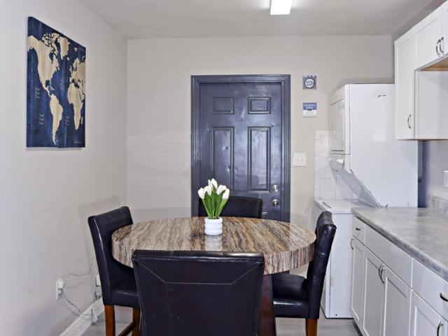 Comfy, convenient and newly renovated Tampa home i
