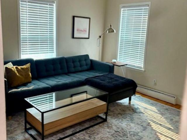 Comfy, Modern Living In Boston
