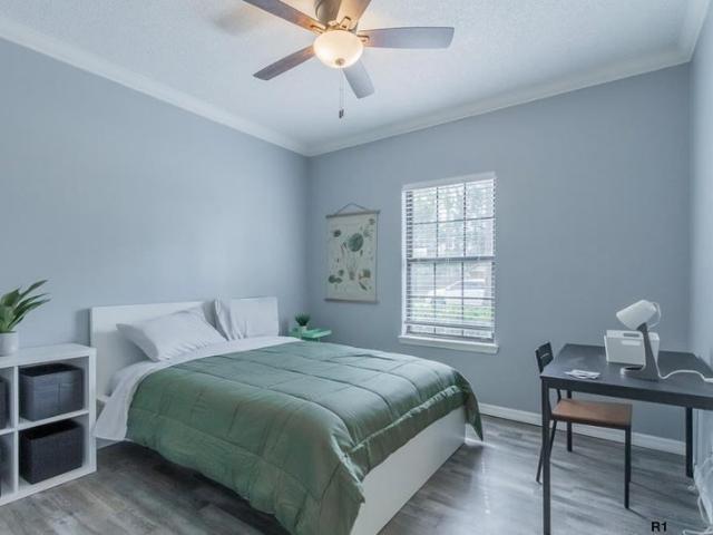 Comfy & newlyrenovated Jacksonville House