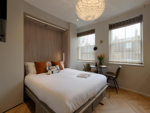 Comfy studio close to Victoria and Albert Museum Has an Apartment
