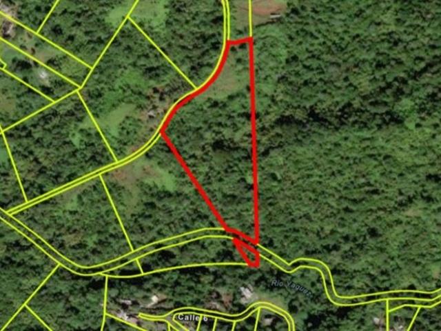 Comm Reparto Naranjales Camino Frank Ortiz Km #,mayaguez, Plot For Sale